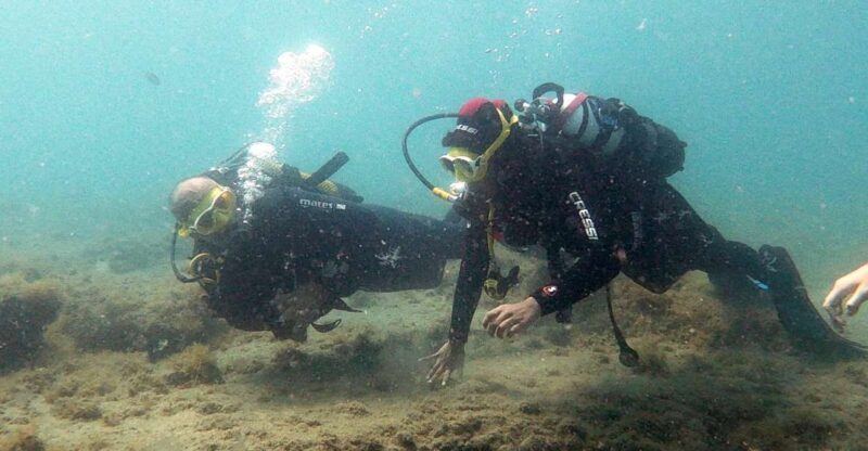 Fuerteventura: Discover Scuba Diving - Why You’ll Love This Experience