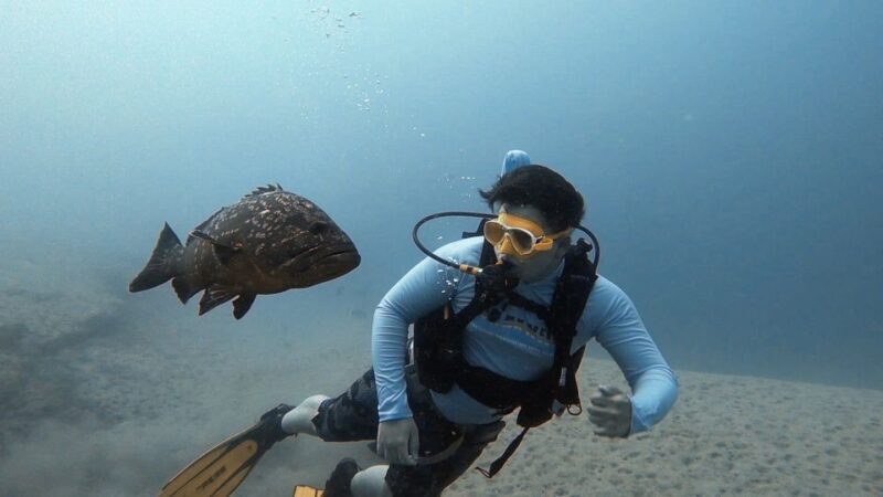 Fuerteventura: Discover Scuba Diving - Deep Dive into the Itinerary