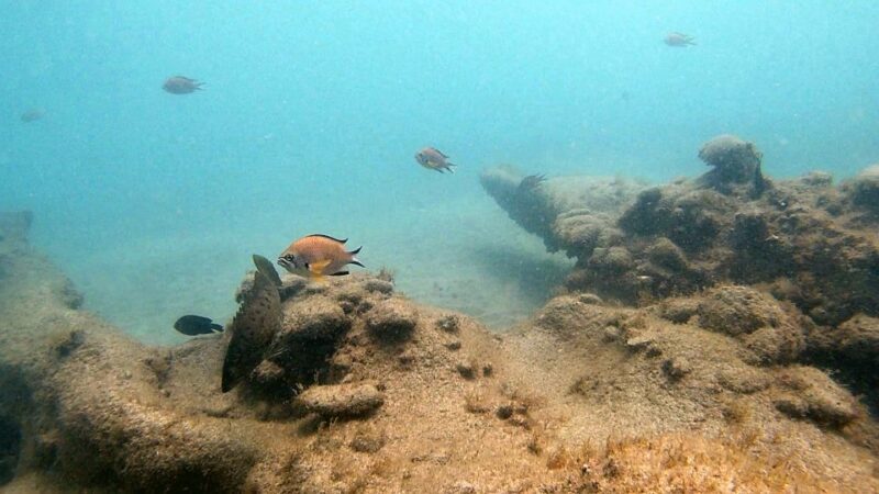 Fuerteventura: Discover Scuba Diving - Additional Tips for Travelers