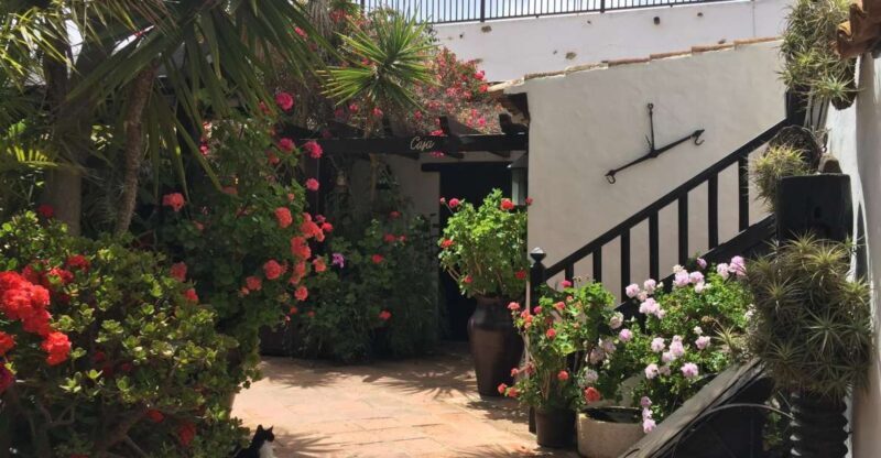 Fuerteventura: Discovery Tour - The Sum Up