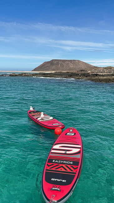 Fuerteventura: Dolphin watching and Lobo Island Combo Cruise - Considerations and Tips for Travelers
