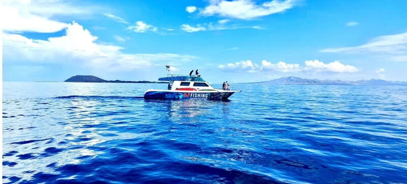 Fuerteventura: Dolphin watching and Lobo Island Combo Cruise - Final Thoughts: Is This Tour Worth It?