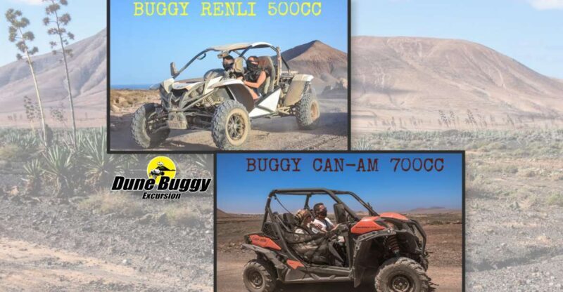 Fuerteventura: Dune Buggy Tour in Northern Fuerteventura - Key Points