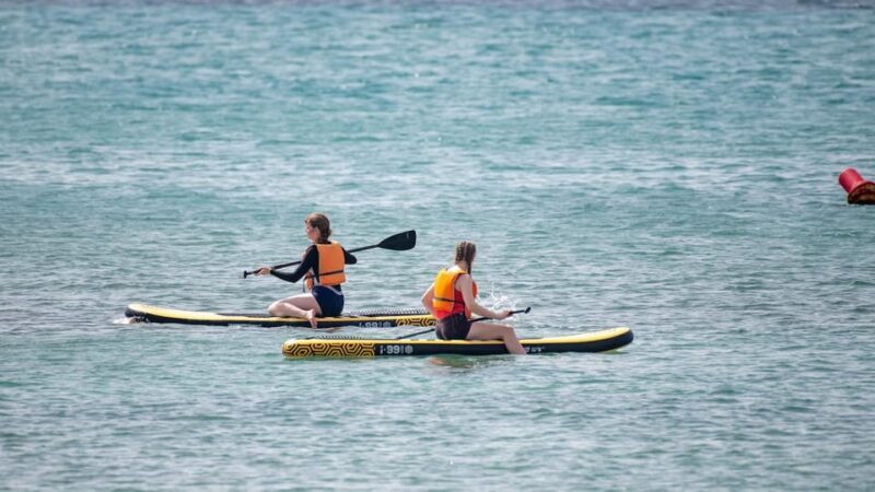 Fuerteventura: Explore Costa Calma Bay on a SUP Board! - The Sum Up