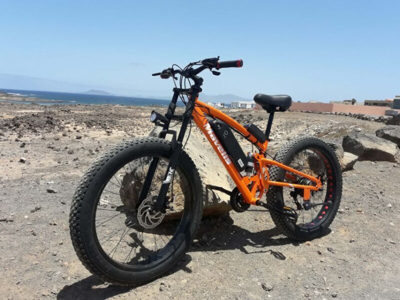 Fuerteventura: Explore the Area with a Bike Rental - Who Is This Tour Best For?