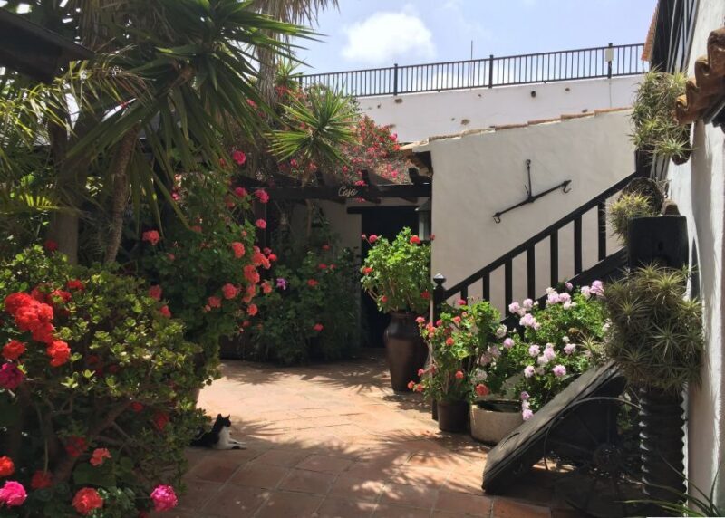 Fuerteventura: Full Day Tour with Lunch - Discovering Fuerteventura: An Overview