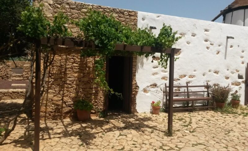 Fuerteventura: Full Day Tour with Lunch - Transportation & Guides: Comfort & Knowledge