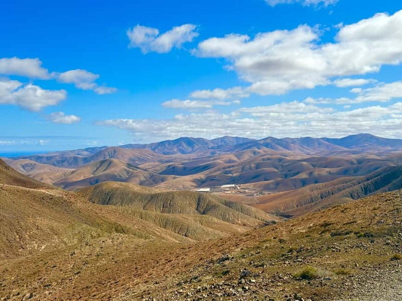 Fuerteventura: Guided Sightseeing Highlights Tour - Key Points