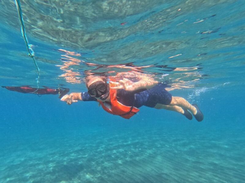 Fuerteventura: Guided Snorkeling in La Lajita with Pickup - A Practical Introduction to the Snorkeling Experience