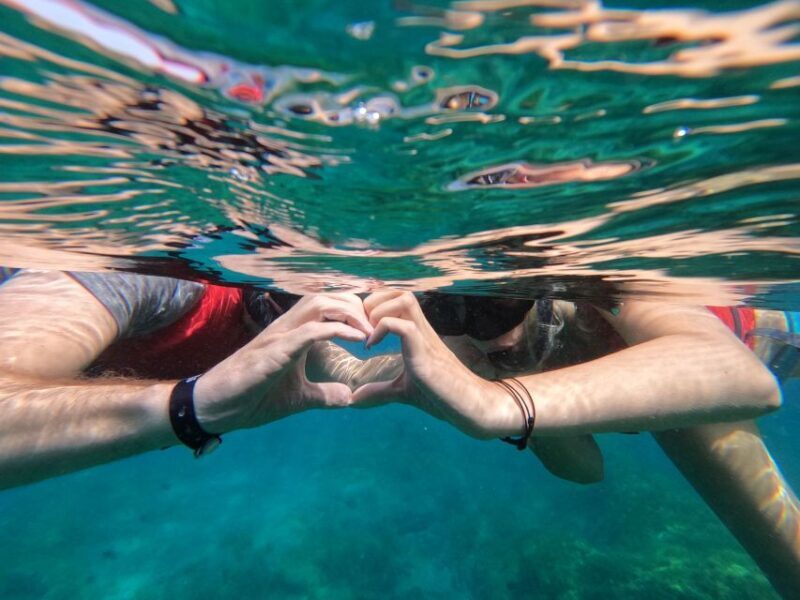 Fuerteventura: Guided Snorkeling in La Lajita with Pickup - What to Expect During the Tour
