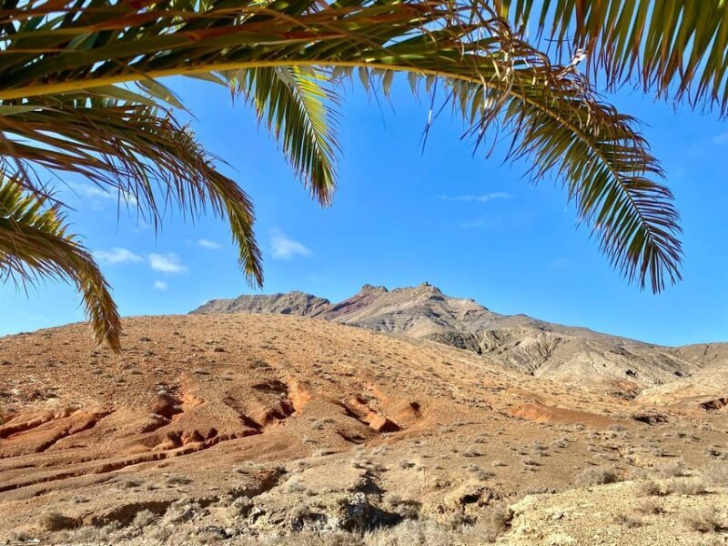 Fuerteventura Hiking up the holy mountain El Cardon - Who Will Love This Tour?