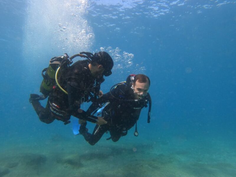 Fuerteventura: Introductory Dive in La Lajita with Pickup - Authentic Experiences and Testimonials