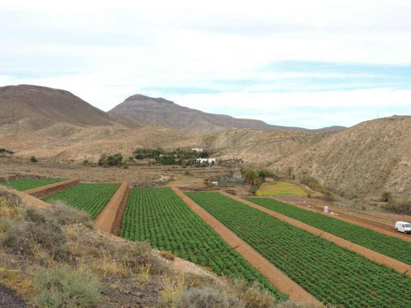 Fuerteventura: Island Highlights Guided VIP Sightseeing Tour - Introduction