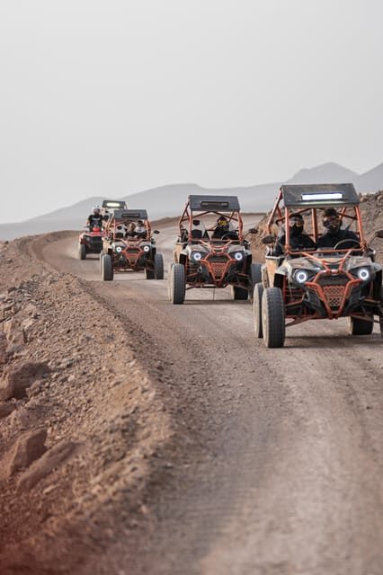 Fuerteventura: Jandía Natural Park & The Puertito Buggy Tour - Key Points