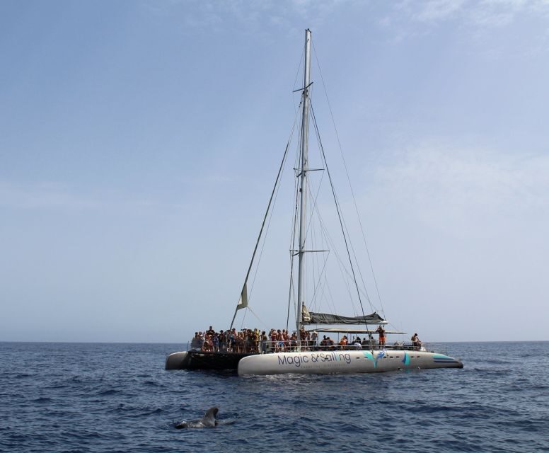 Fuerteventura: Magic Catamaran Trip with Food and Drinks - FAQs