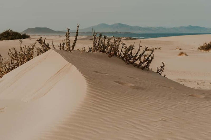 Fuerteventura North: 4h tour for cruise passengers - La Oliva and Scenic Mountain Roads