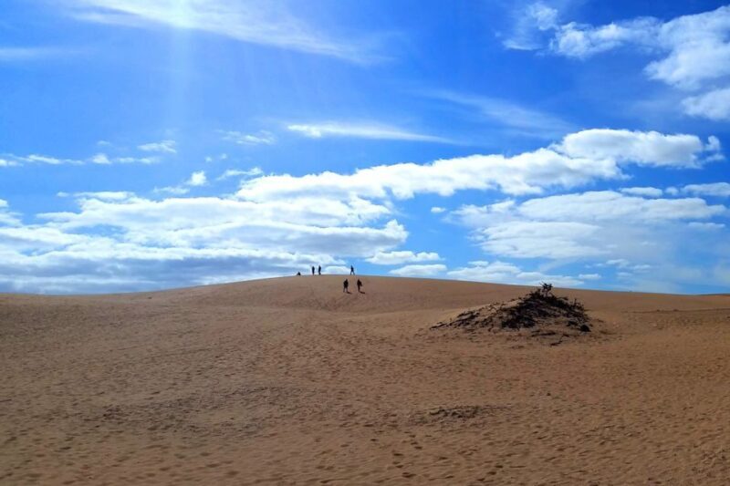 Fuerteventura: Panoramic Tour - An In-Depth Look at the Fuerteventura Panoramic Tour