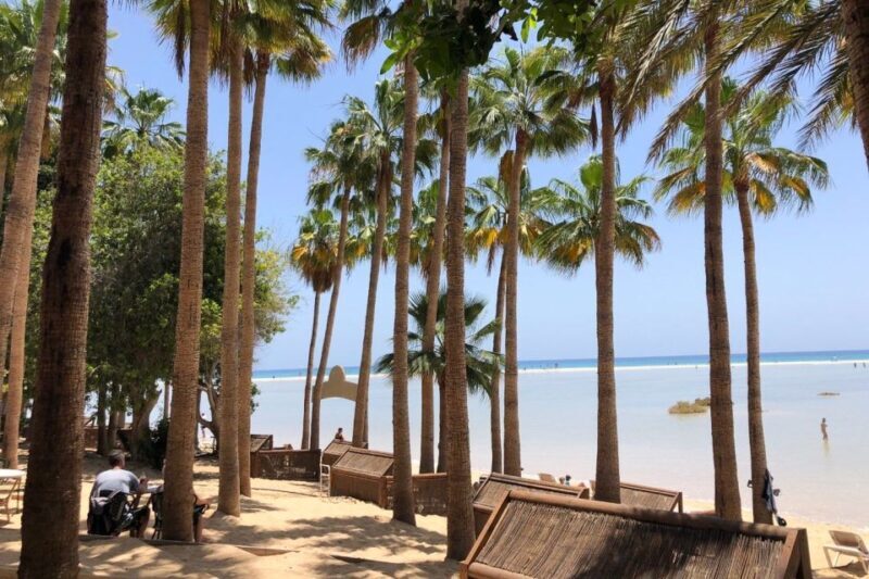Fuerteventura South Full-Day Tour - Final Thoughts