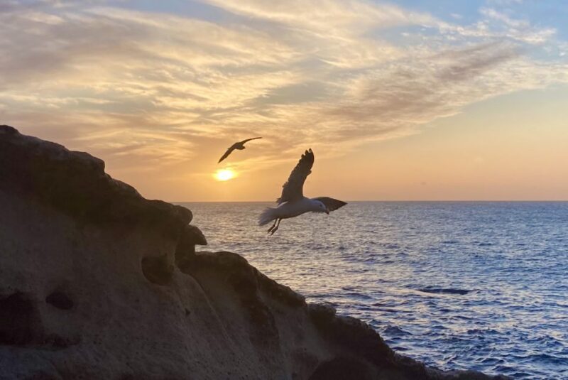 Fuerteventura sunset hike to the wild west coast - An In-Depth Look at the Sunset Hike Experience