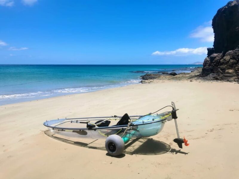 Fuerteventura: Transparent Electric Kayaks with Guide - Pricing and Value