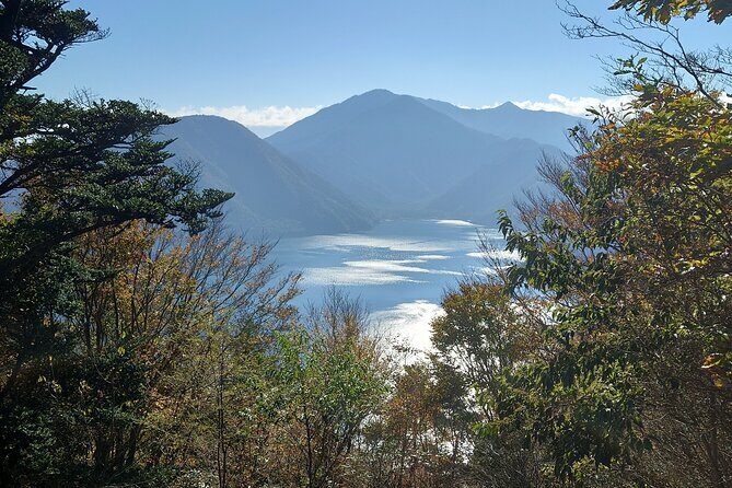 Fuji 5 Lakes Forest Bathing - An Overview of the Tour Experience