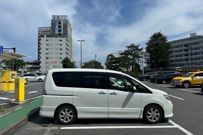 Fuji 5 Lakes Forest Bathing - Who Would Enjoy This Tour?