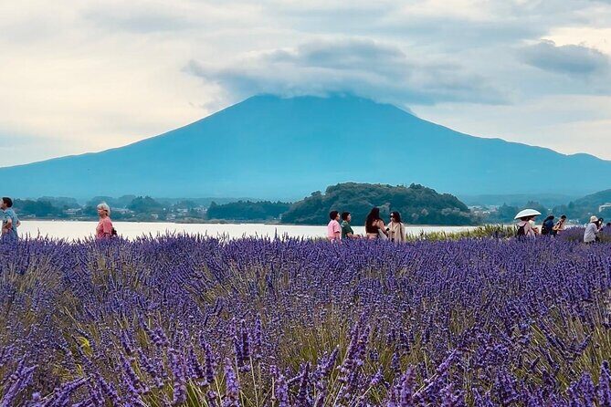 Fuji and Hakone Private Tour with English Guide and Photography - The Experience for Different Types of Travelers