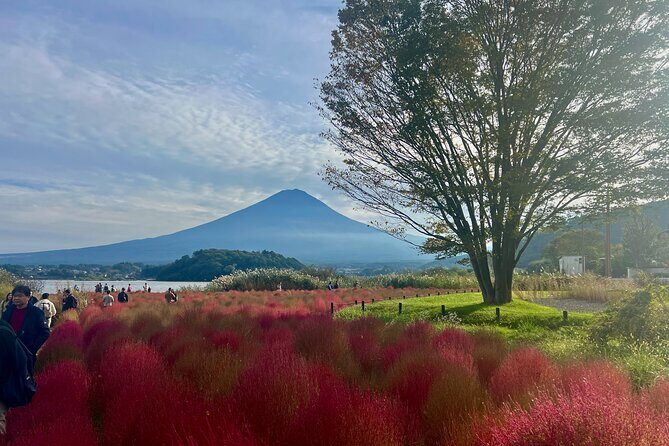 Fuji and Hakone Private Tour with English Guide and Photography - FAQs