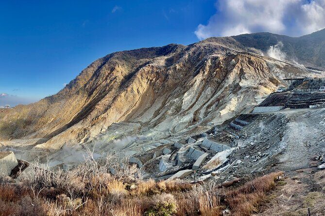 Fuji and Hakone Private Tour with English Guide and Photography - Final Thoughts