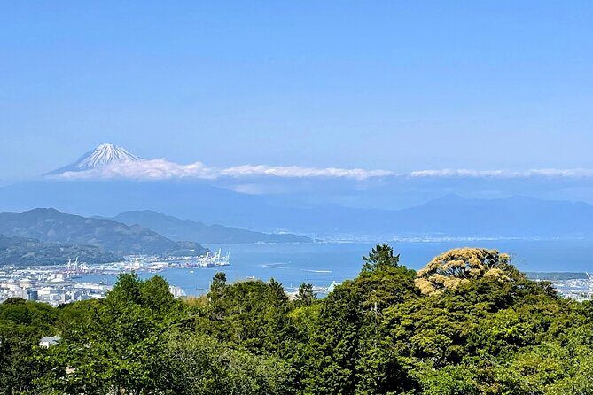 Fuji Area Cultural Highlights Day Tour from Shimizu Port by Car - Final Thoughts