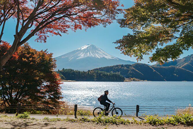 Fuji Five Lakes Guided Day Trip - Key Points