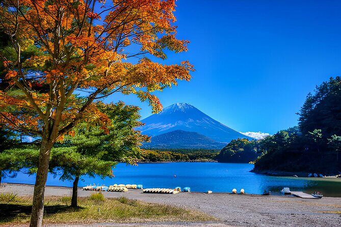 Fuji Five Lakes Guided Day Trip - FAQ