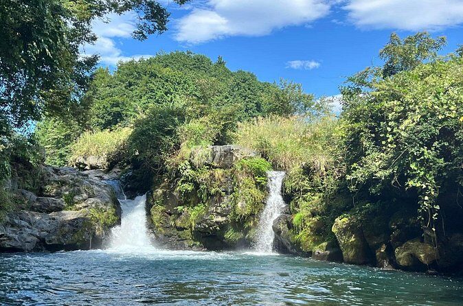 Fuji Forest Hiking 4 hr Tour with a Nature Guide with Transfer - FAQ