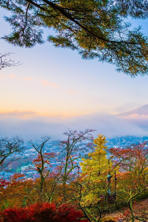 Fuji/Hakone Private Tour, English speaking guide, Photograph - Key Points