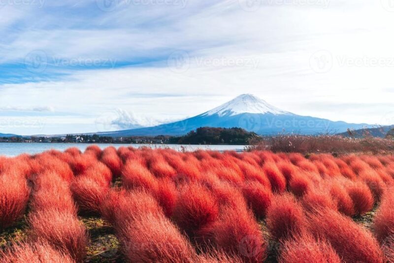 Fuji/Hakone Private Tour, English speaking guide, Photograph - Final Thoughts: Is It Worth the Price?