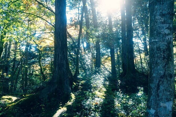 Fuji Photo Tour - Key Points