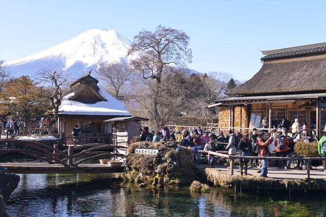 Fuji Sightseeing Tour (With English or Japanese Speaking Guide) - Who Will Love This Tour?