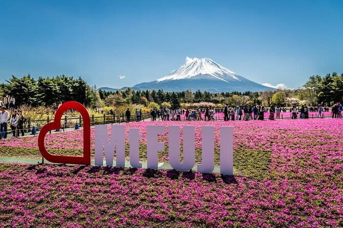 Fuji Sightseeing Tour (With English or Japanese Speaking Guide) - Final Thoughts