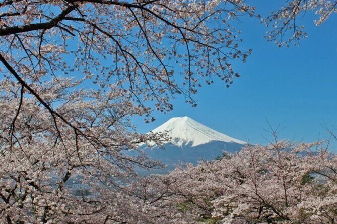 Fuji Speedway Self Drive & Mt. Fuji Private Tour pickup on LEXUS - The Sum Up