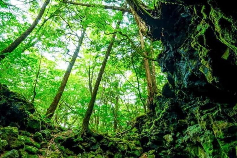 Fuji Spiritual Private Tour with Lunch and Dinner - Key Points