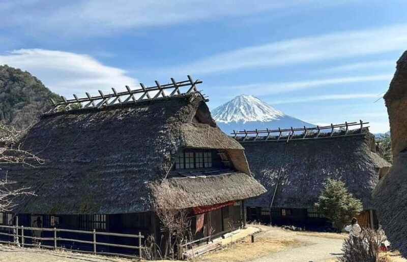 Fuji Spiritual Private Tour with Lunch and Dinner - What Reviewers Say