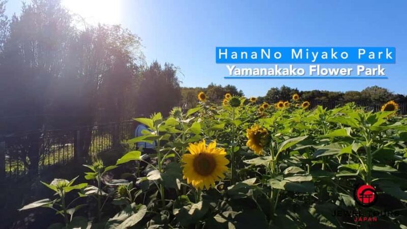 Fuji Yamanaka Lake. Oshino Hakkai and Local Noodles - An Authentic Look at Japan’s Rural Beauty