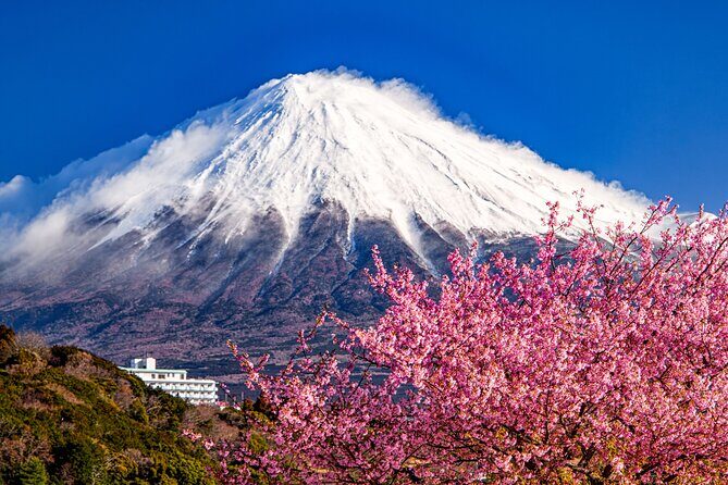 Fuji Yoshiwara Gion Festival Twilight E-Bike Tour (Two Days only) - Who Will Love This Tour?