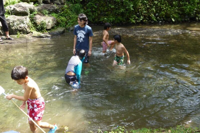 Fujieda: Suisha-mura Traditional Japanese Cooking Experience - Who Should Consider This Tour?