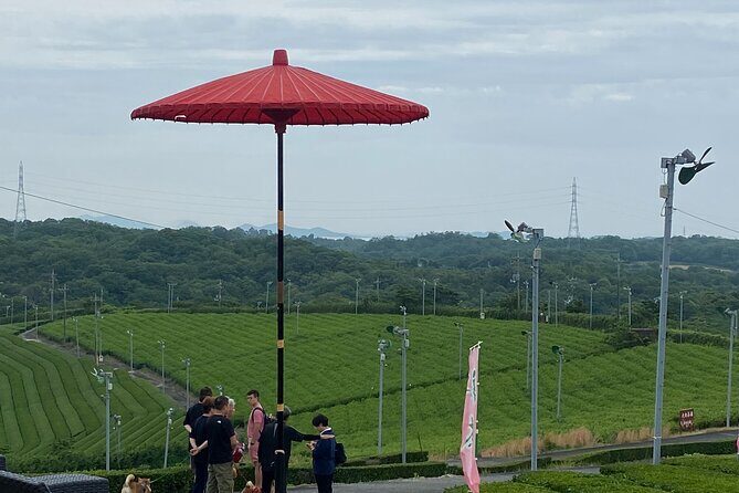 Fujikawachi Tea Fields Walking Tour and Learn Yamaguchi Tea - FAQ