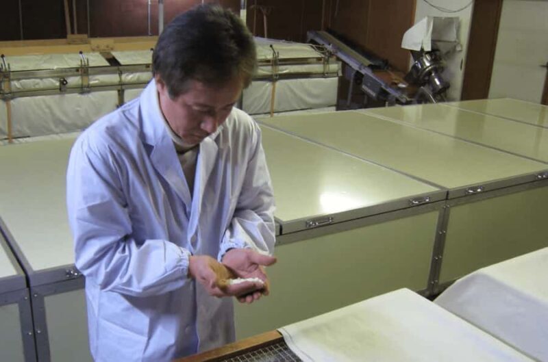 Fujinomiya: Fuji Takasago Sake Brewery Tour & Tasting - Key Points