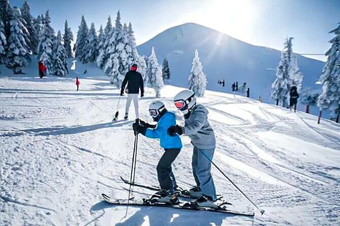 Fujiyama Snow Resort Yeti Winter Ski Day Tour from Tokyo Japan - Who Should Consider This Tour?