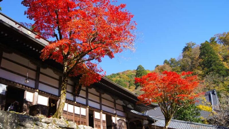 Fukui: Eiheiji Temple and the Heart of Zen Buddhism - Key Points