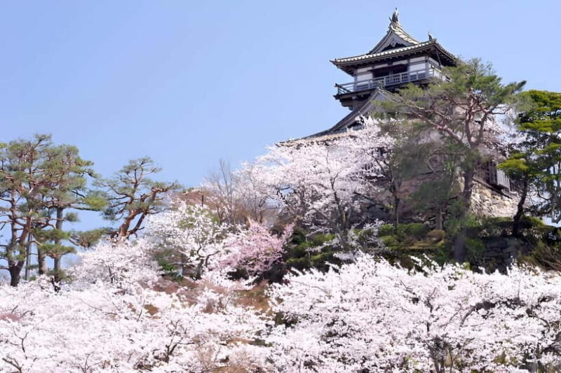 Fukui: Maruoka Castle Admission Ticket - Why This Experience Is Worth Your Time