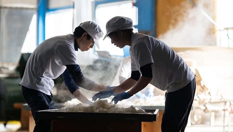 Fukui : Yoshida Sake Brewery Tour and Tasting - Practicalities, Cost, and Value